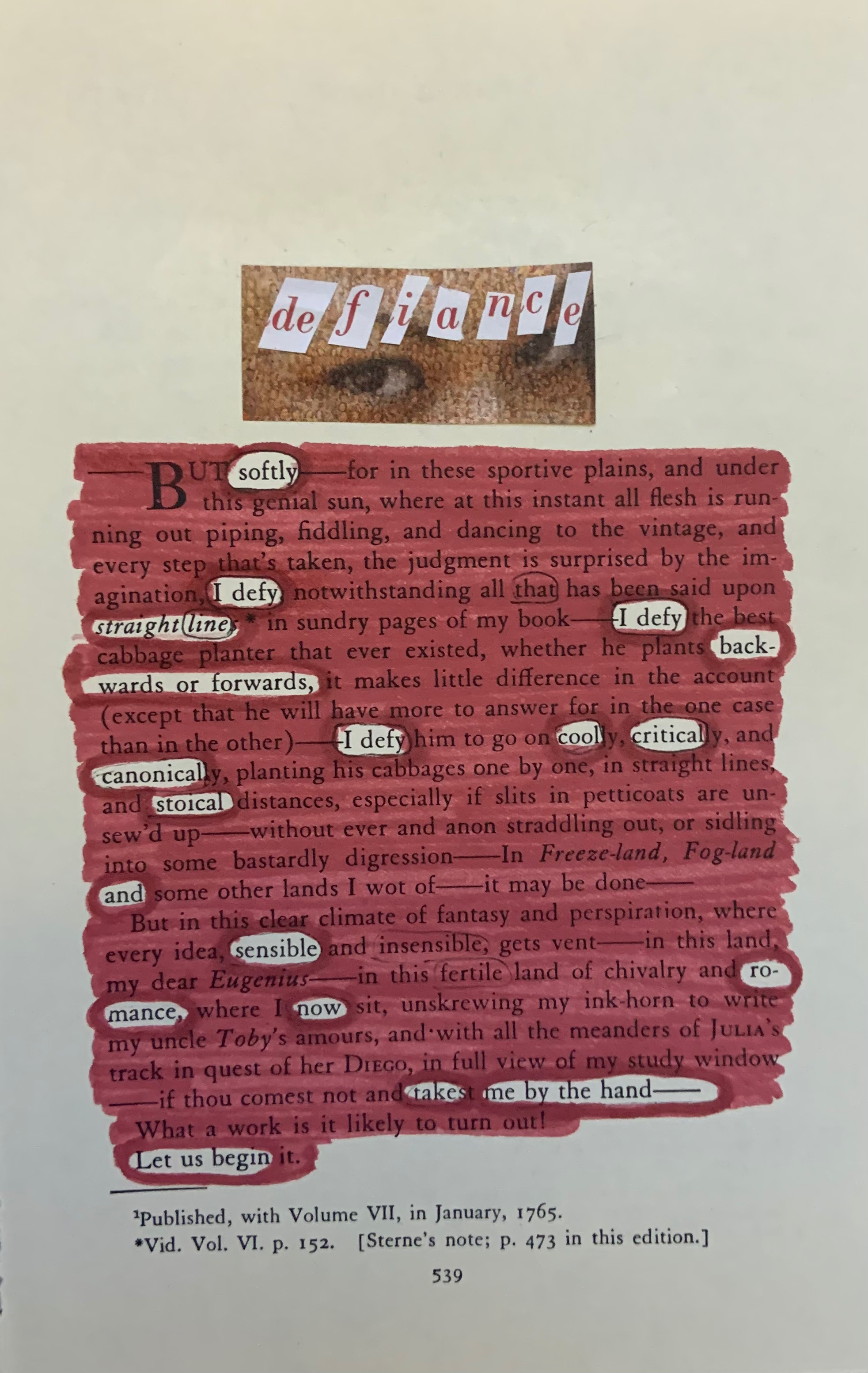 a visual poem by Anna Meegan – Pensworth